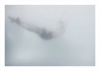 Cathy Carter - Our Artists | Artworks and information about our many ...