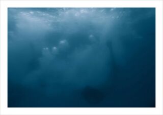 Cathy Carter - Our Artists | Artworks and information about our many ...